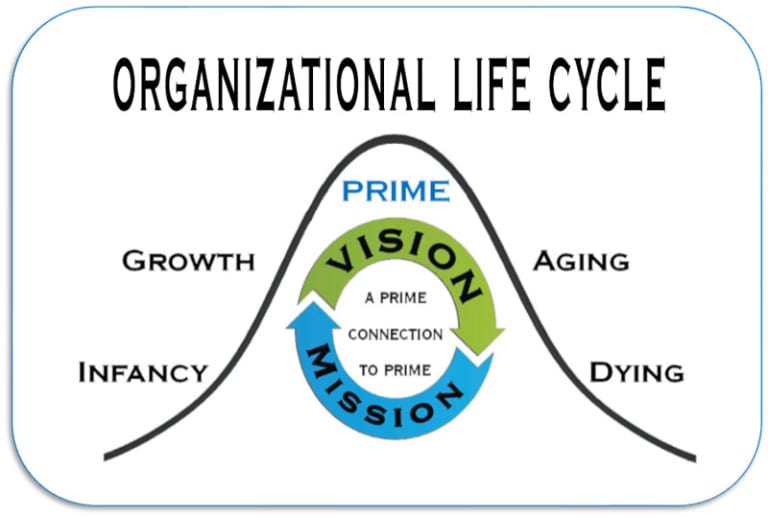Organizational Life Cycle | California American Legion